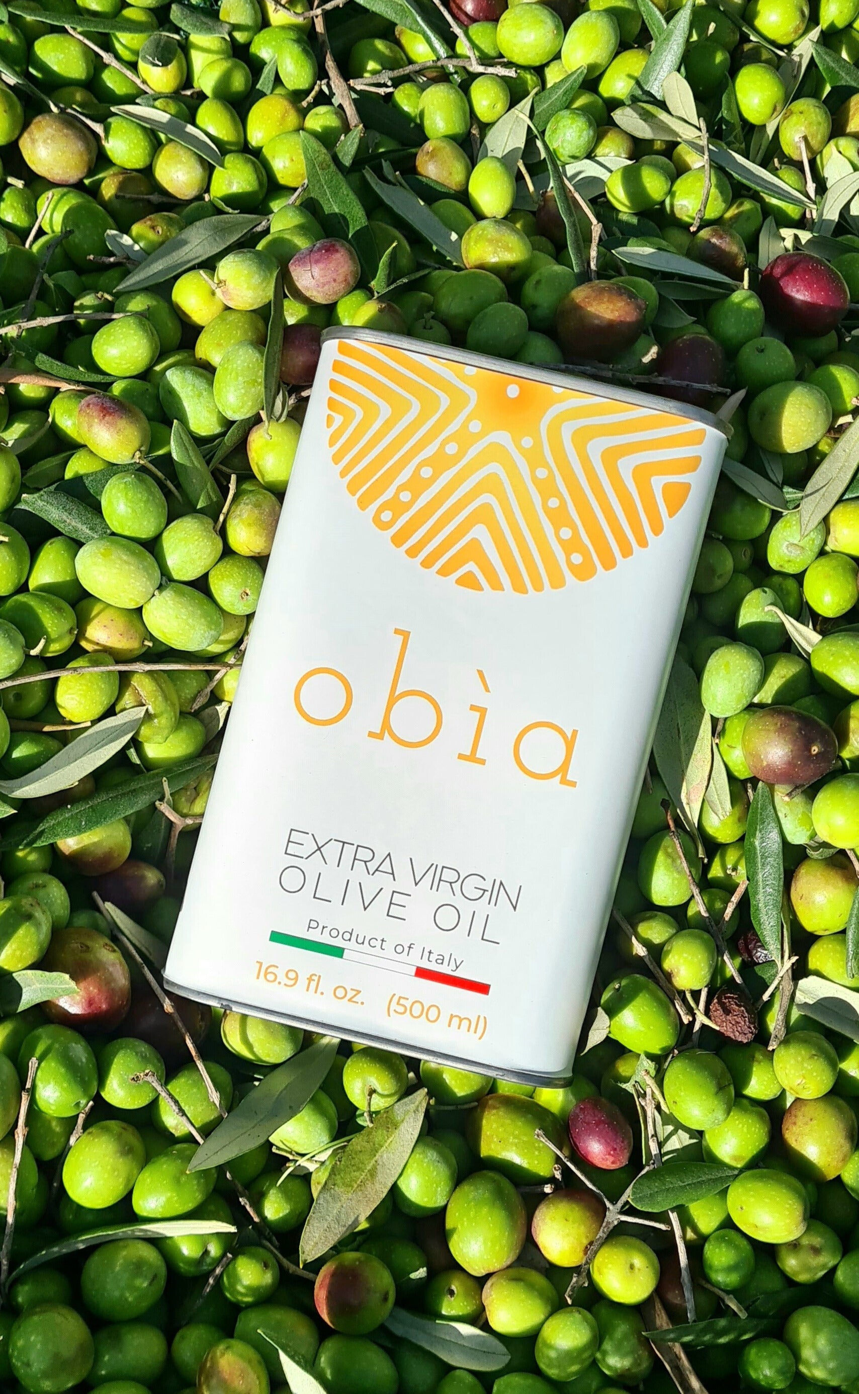 Obìa | Sardinian Extra Virgin Olive Oil – Obìa Olive Oil