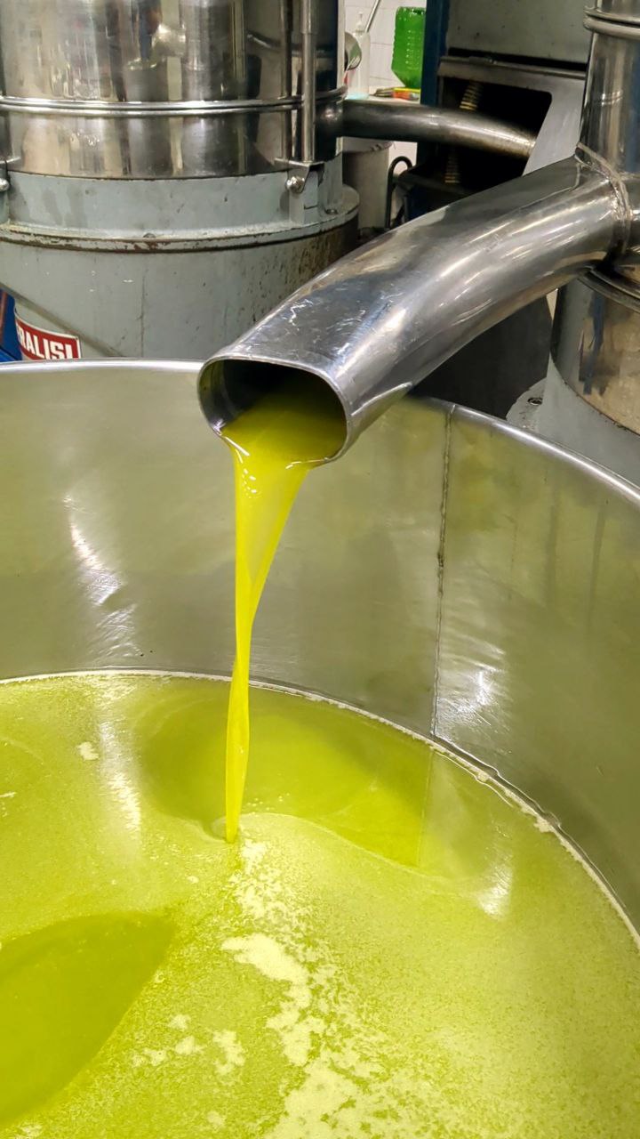 Obìa | Sardinian Extra Virgin Olive Oil – Obìa Olive Oil
